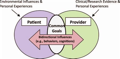Conceptual Diagram Of Patient Provider Transactional Model Download Scientific Diagram