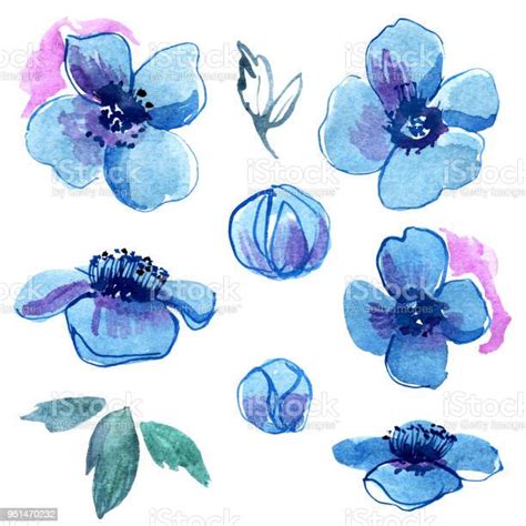 귀여운 수채화 손으로 그린 파란 꽃 초대입니다 웨딩 카드입니다 생일 카드 0명에 대한 스톡 벡터 아트 및 기타 이미지 0명 꽃 식물 드로잉 Istock