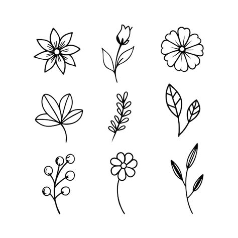 Hand Drawn Floral Leaf Branch Outline Vector Art Premium Vector
