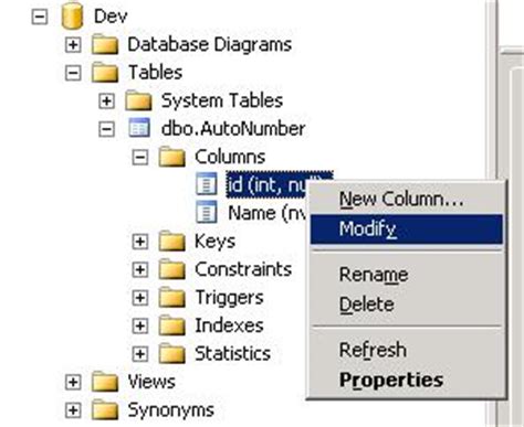 Set SQL Identity Column SQL Autonumber In SQL Server 2005