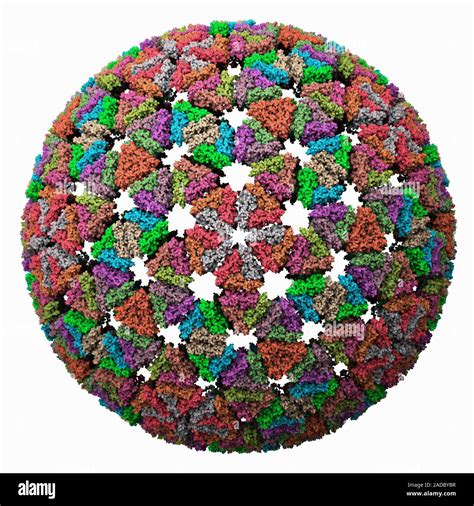 Rotavirus Inner Capsid With Vp7 Coating Computer Model Showing The Structure Of A Rotavirus