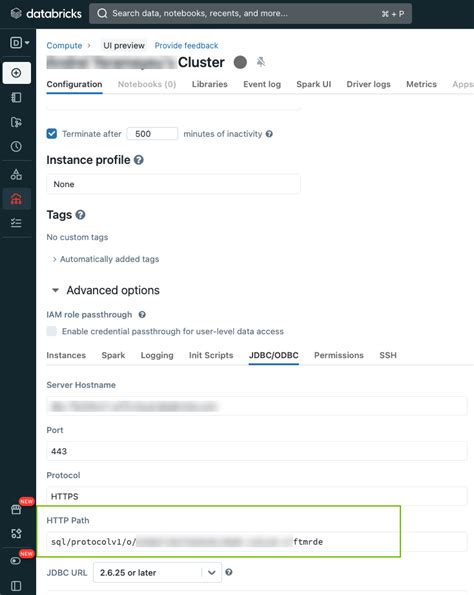 Add The Databricks Unity Catalog Capability