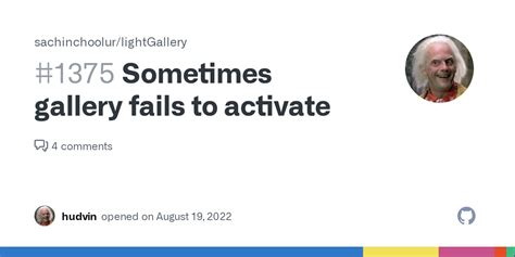 Sometimes Gallery Fails To Activate · Issue 1375 · Sachinchoolurlightgallery · Github