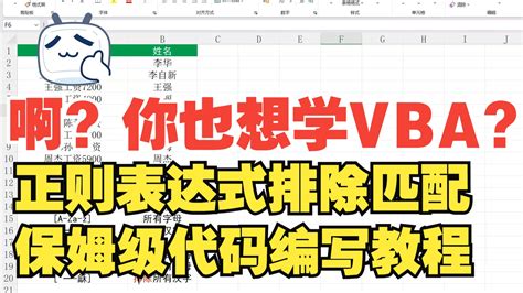 VBA正则表达式的排除匹配如何写一节课讲明白 杰瑞办公 杰瑞办公 哔哩哔哩视频