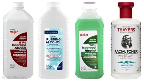 Does Rubbing Alcohol Kill Bed Bugs Heres The Real Truth