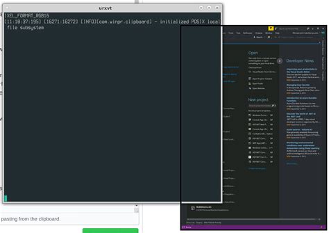 X11 Client Black Border Around Remoteapp Window That Appears On All