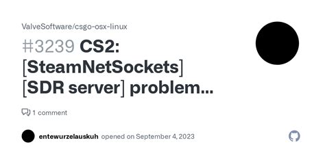 Cs2 Steamnetsockets Sdr Server Problem Detected Locally 3004 Dont Have Network Config