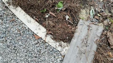 как правильно сделать отвод воды с крыши в участок 3 главных требования Youtube