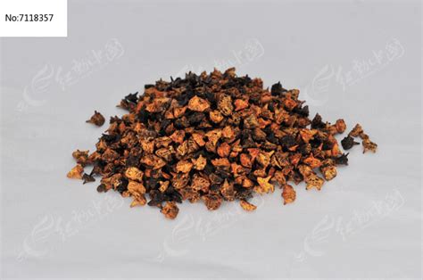 中草药盐蒺藜高清图片下载 红动中国