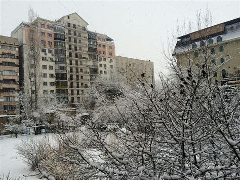 겨울 겨울 관광 겨울 날씨 겨울 동화나라 겨울 숲 겨울 시즌 겨울 여행 겨울 풍경 겨울날 겨울보기 계절 고립된 고요한 나무 오두막 낮 눈 눈