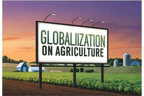 Positive And Negative Impact Of Globalization On Agriculture