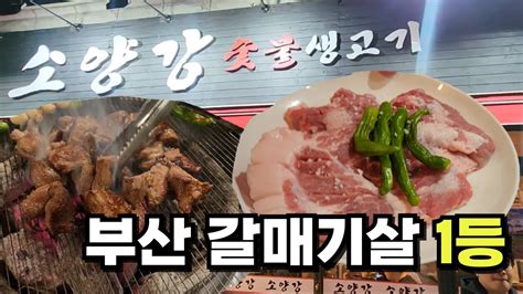 부산 아니 전국1등 갈매기살 ㅈㄴ 맛있음 Youtube