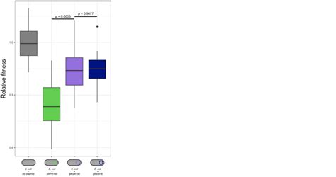 Relative Fitness Of E Coli Mg1655 Carrying A Previously Characterised Download Scientific