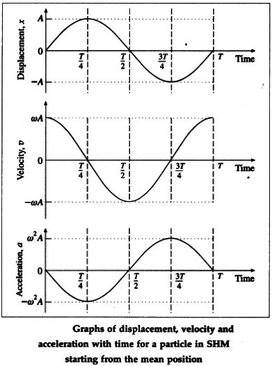 draw graphs of displacement velocity and acceleration against phase