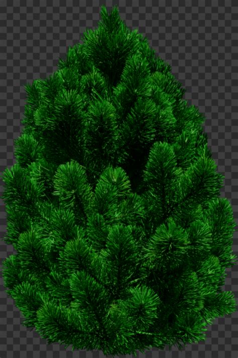 Tree Png Art Pxpng