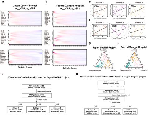 《nature Mental Health》 实验室冯建峰团队利用智能算法定义三种抑郁症生物亚型 复旦大学计算神经科学与类脑智能教育部重点实验室