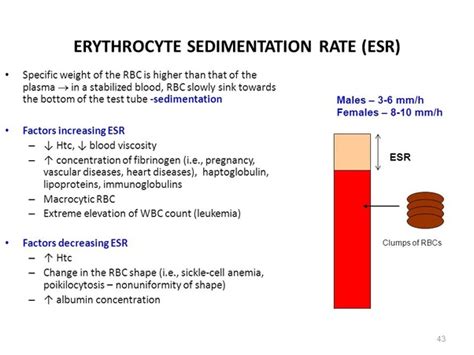 Erythrocyte Sedimentation Rate Esr Vip Lab