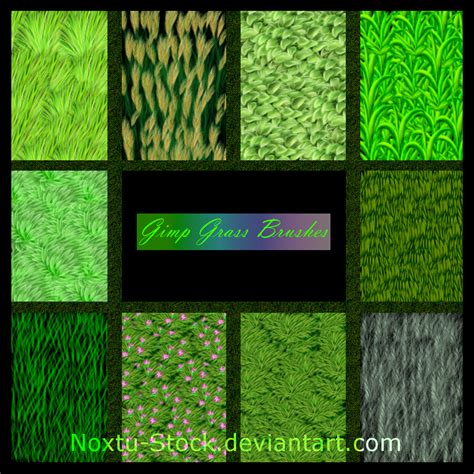 Gimp Grass Brushes By Noxtu Stock On Deviantart