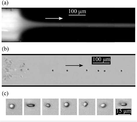 Figure 4 From An Inexpensive Microfluidic Device For Three Dimensional Hydrodynamic Focusing In