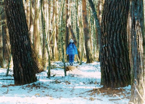 ‘evil Does Not Exist Review A Chilling Slow Burn About Capitalist Greed And Climate Violence