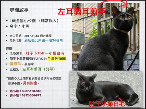 吉 醬 【尋貓啟事】代po 走失日期：20171118六晚間走失地點：新店區北新路一段34巷內朋友的朋友的貓咪不見了，一歲全黑小
