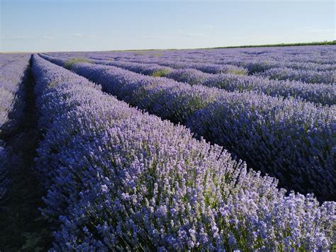 Всичко е любов да имаш повече приятелки не те прави мъж Това че имаш повече