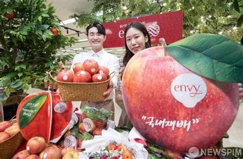 새콤달콤한 맛 자랑하는 엔비사과 네이트 뉴스