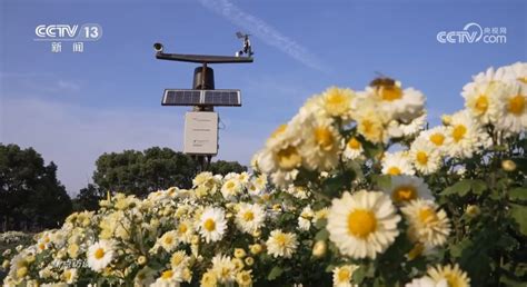 焦点访谈：乡村振兴加“数”跑中央网络安全和信息化委员会办公室