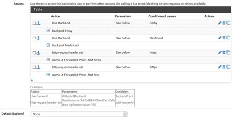 Emby Via Reverse Proxy And Internal Network Settings Page 4 Linux Emby Community
