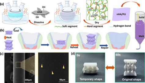 Acs Applied Polymer Materials Vol 5 No 2 Acs Publications