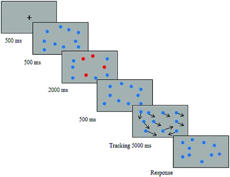 Schematic Diagram Of The Multiple Object Tracking Task Ten Identical