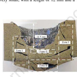 Macroscale Morphological Features Along The Cross Section In Download Scientific Diagram