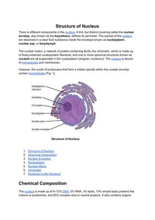 Structure Of Nucleus PDF