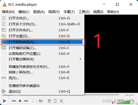 【dockerobsvlc】局域网内推流取流obs Docker Csdn博客