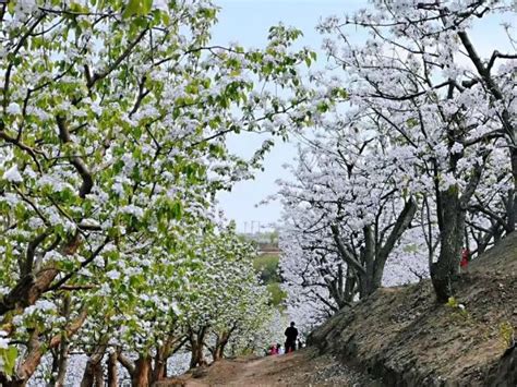 松原市前郭县生态宜居之旅