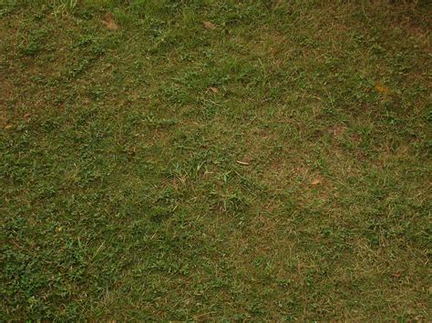 Текстура травы бесшовные текстуры травы Трава Текстуры Текстура