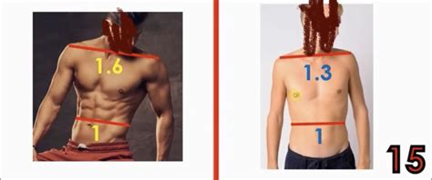 Narrow Shoulders To Broad Shoulders