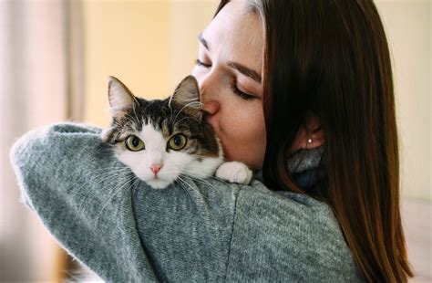 Health Issues Every Cat Owner Should Know Permutation Group