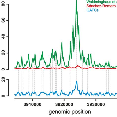The Chip Seq Data Analyzing Pipeline Download Scientific Diagram