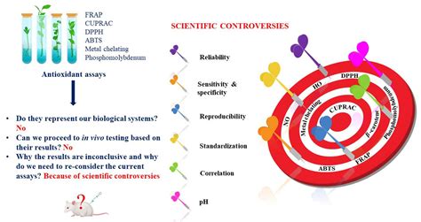 Antioxidant Assay Methods At Liam Edgar Blog