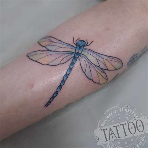 Colour Dragonfly Tattoo By Andrea Dragonfly Tattoo Funky Tattoos
