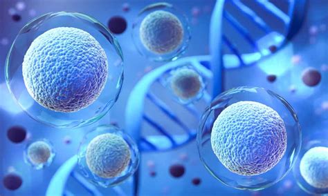 Harnessing The Power Of Cell And Gene Therapy In Oncology