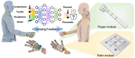 Soft Modular Glove With Multimodal Sensing And Augmented Haptic