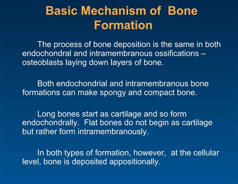 101308 Histology Bone Formation And Remodeling Pdf