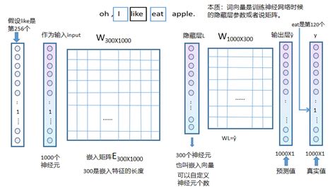 Word2vec之skip Gram（理论及代码实现）word2vec Skipgram实现 Csdn博客
