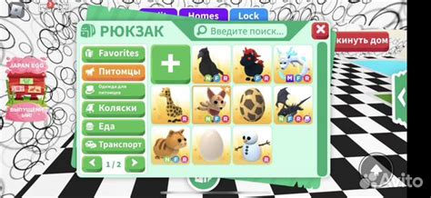 Петы в адопт ми купить в Москве Животные и зоотовары Авито