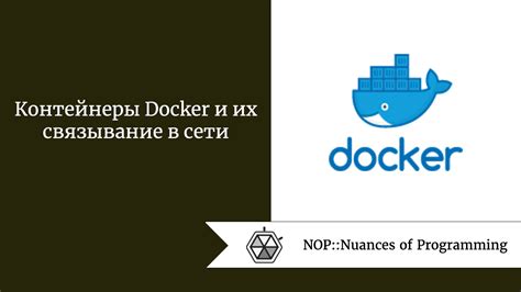 Контейнеры docker и их связывание в сети