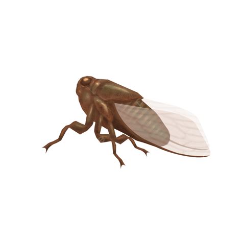 Cicada Png Picture Cicada Cicada Great Heat Holiday Got It Png Image For Free Download