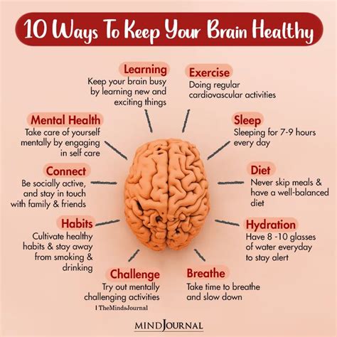 Boosting Your Brainpower How Brain Hacking Techniques Can Improve Your Life Artofit