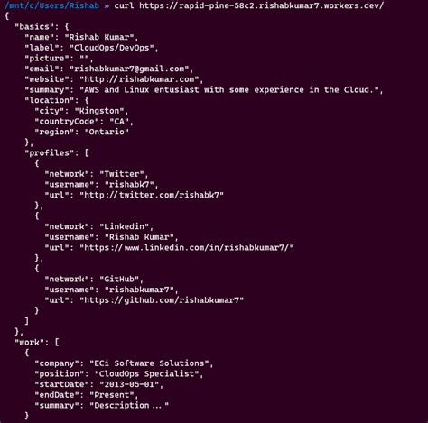 Github Rishabkumar Cloudflare Summer Challenge My Submission For Cloudflare Summer Challenge